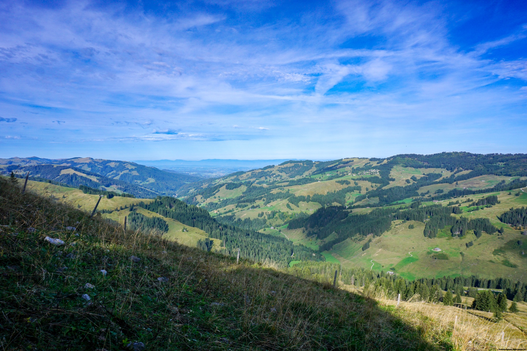 Ochse, le plus haut sommet du Gantrisch - Destination Montagne