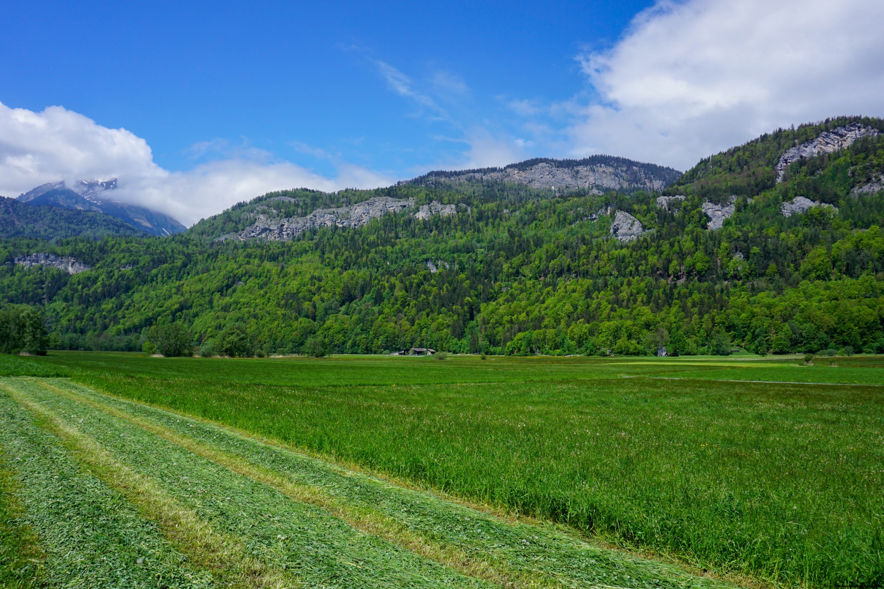 Crossing the Brünig on foot - Destination Montagne