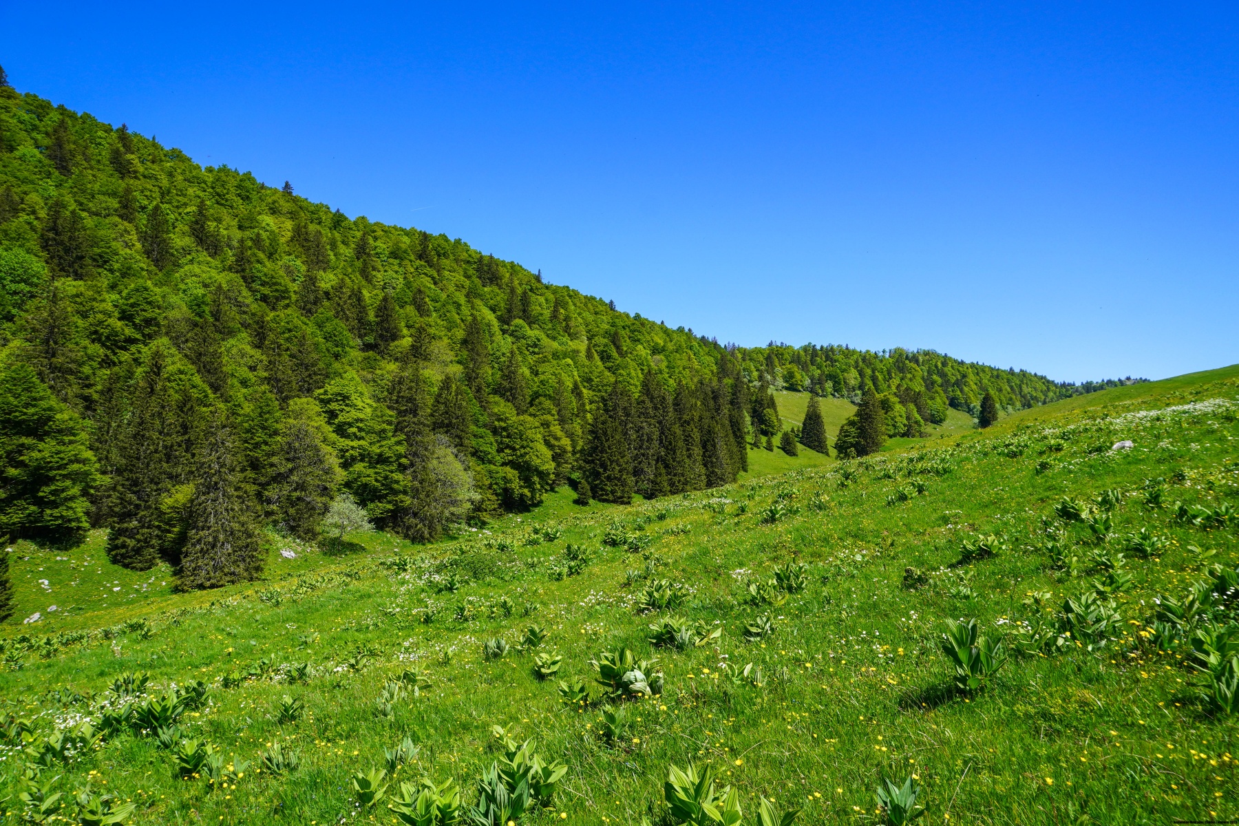 Deux combes pour le prix d’une - Destination Montagne